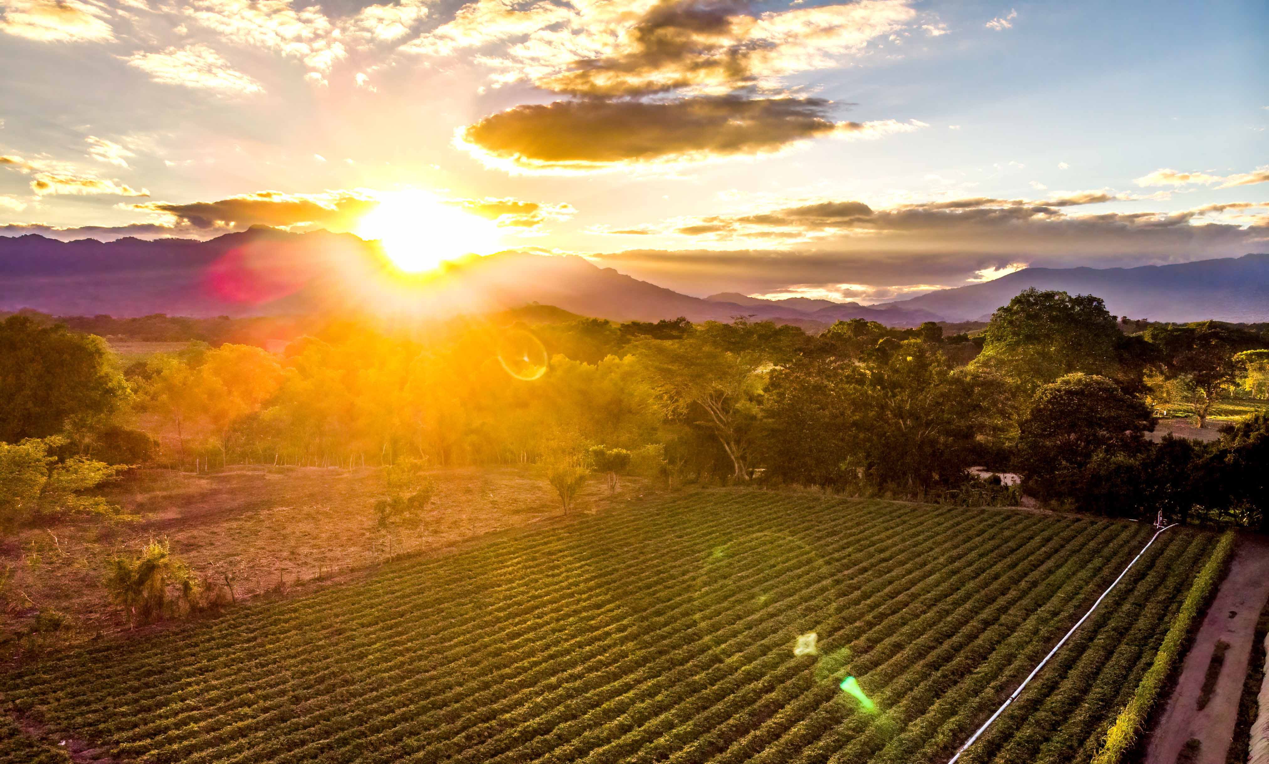 Earth Day 2023: Helping farmers thrive